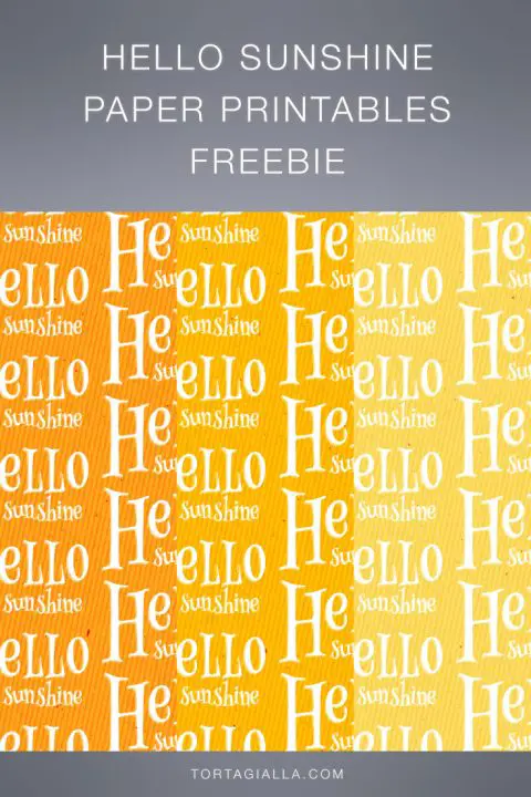 Hello Sunshine Digital Paper Printables - tortagialla